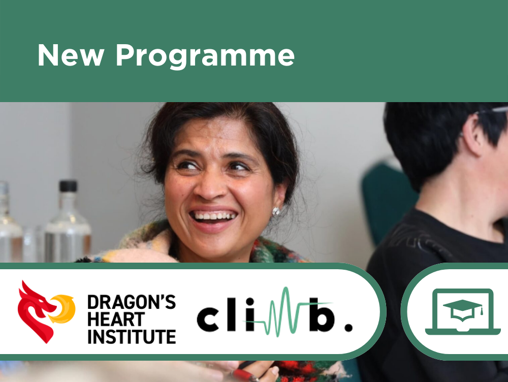 Applications Open for Third Year of Climb Leadership Programme - Gwella ...